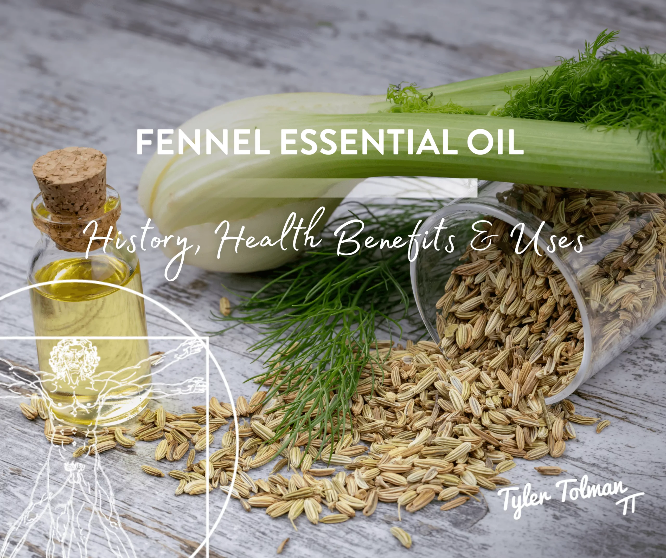 Fennel Essential Oil | History, Health Benefits & Uses